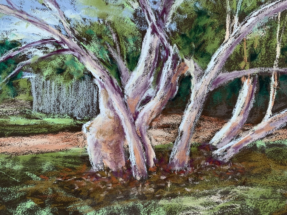 Pauline Bright | Mandurah Plein Air Artists