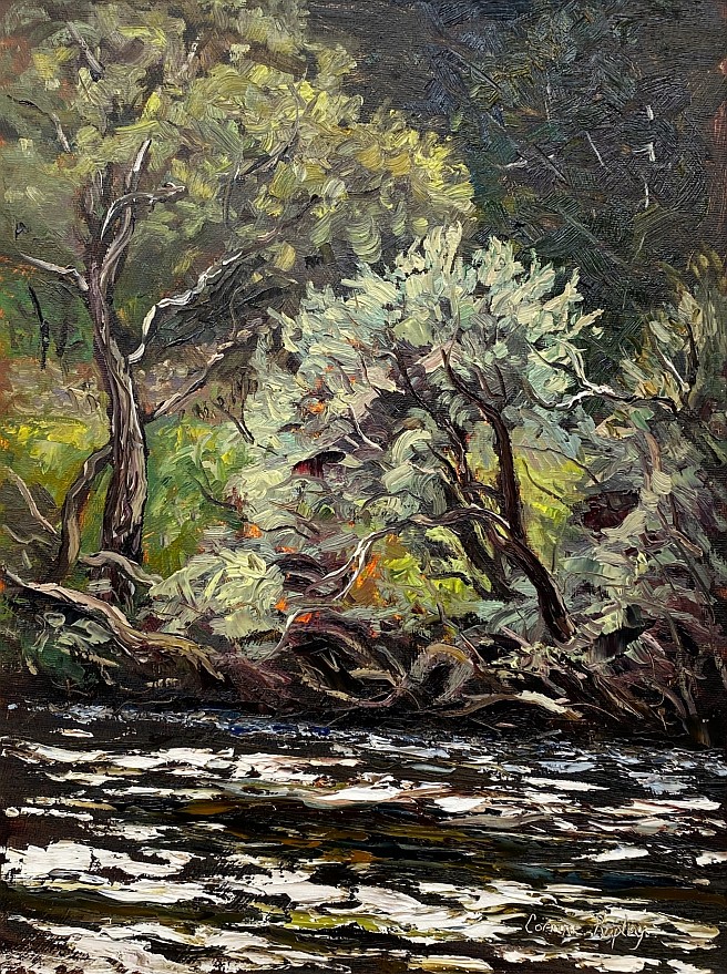 Corrine Rapley | Mandurah Plein Air Artists